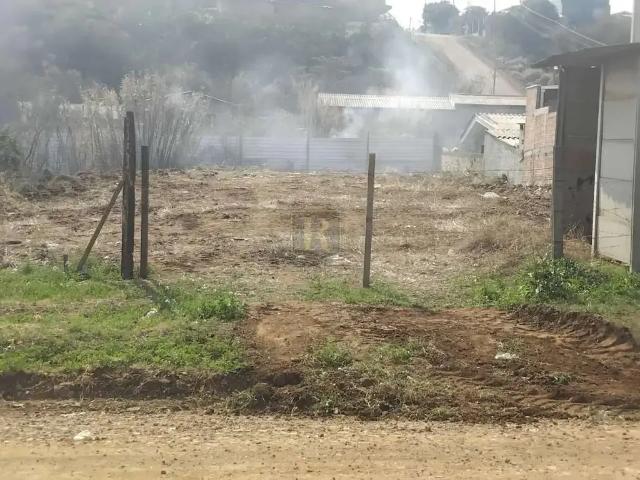 Terreno / Lote para Venda em Guarapuava/PR Morro Alto