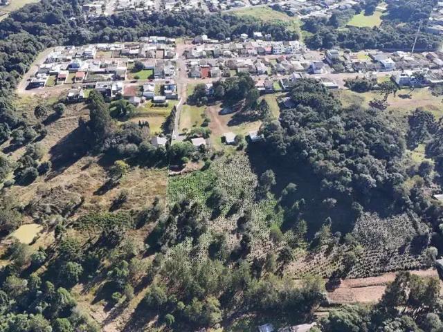 Terreno / Lote para Venda em Guarapuava/PR Mirante da Serra