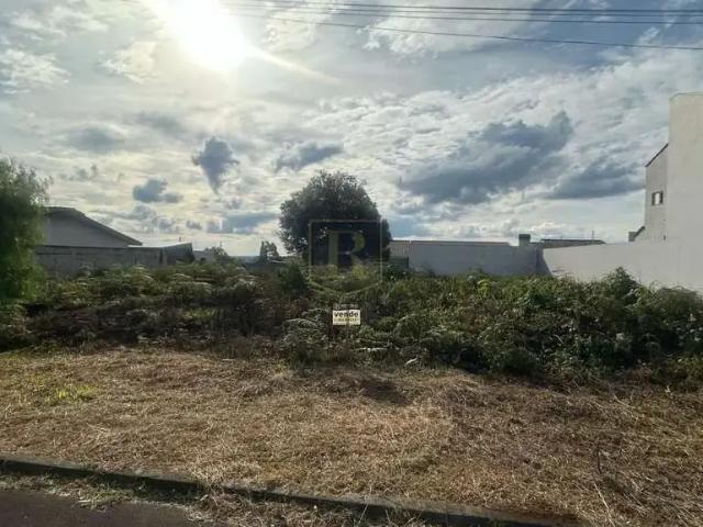 Terreno / Lote para Venda em Guarapuava/PR Mirante da Serra