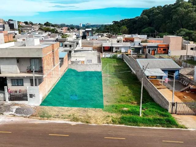 Terreno / Lote para Venda em Guarapuava/PR São Cristóvão