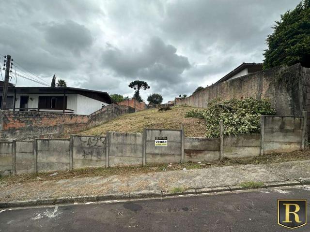 Terreno / Lote para Venda em Guarapuava/PR Santa Cruz