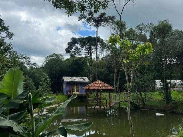 Terreno / Lote para Venda em Guarapuava/PR Santana