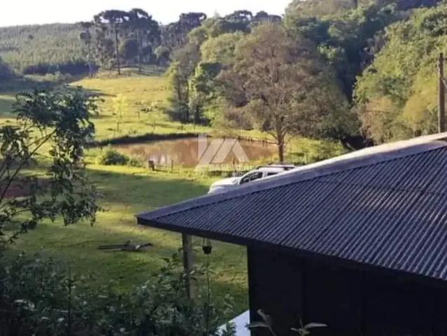 Terreno / Lote para Venda em Guarapuava/PR Palmeirinha