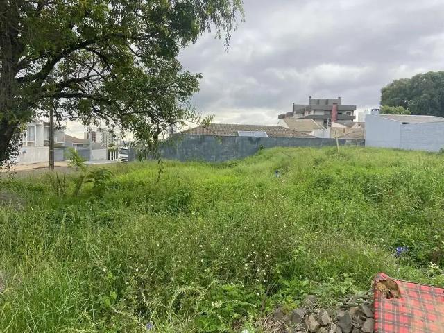 Terreno / Lote para Venda em Guarapuava/PR Trianon
