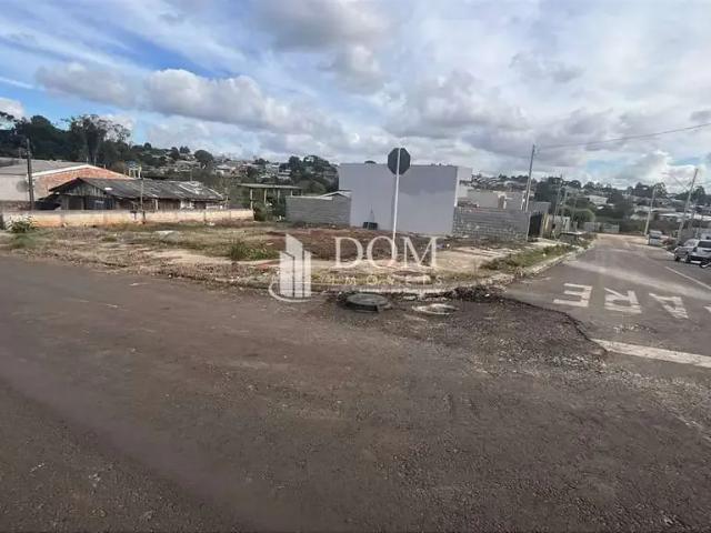 Terreno / Lote para Venda em Guarapuava/PR Vila Bela