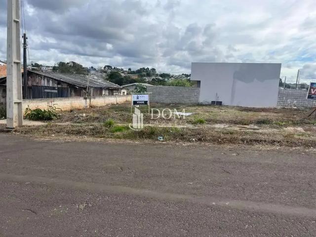 Terreno / Lote para Venda em Guarapuava/PR Vila Bela