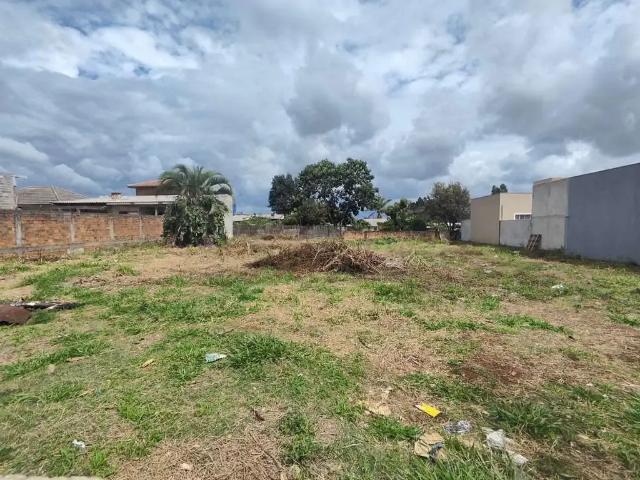 Terreno / Lote para Venda em Guarapuava/PR Vila Bela