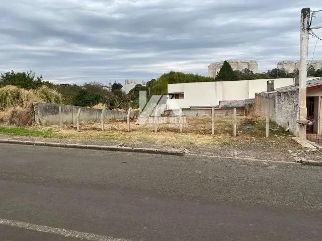 Terreno / Lote para Venda em Guarapuava/PR Vila Carli
