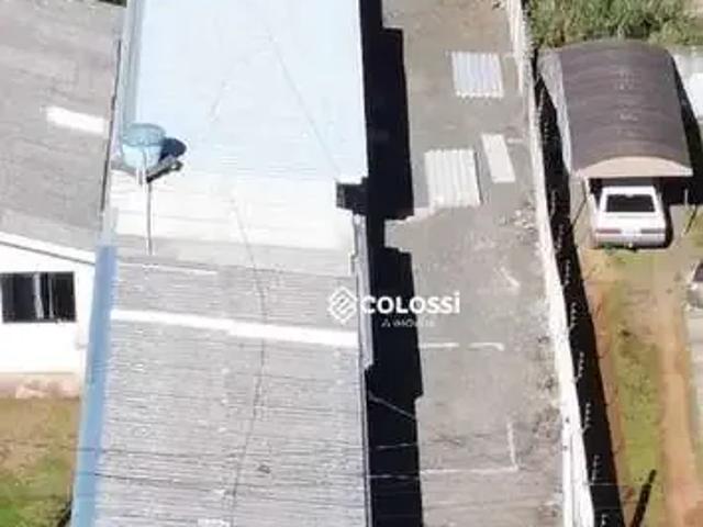 Terreno / Lote para Venda em Guarapuava/PR Vila Carli