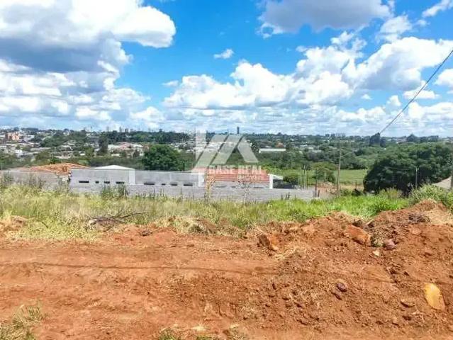 Terreno / Lote para Venda em Guarapuava/PR Vila Carli