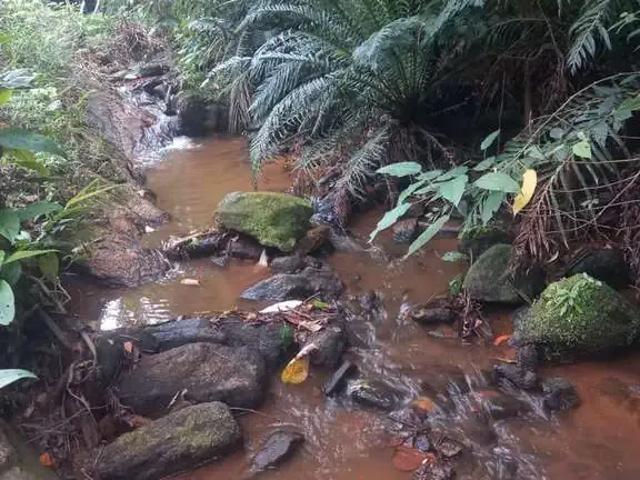 Terreno / Lote para Venda em Guarapari/ES Todos Os Santos