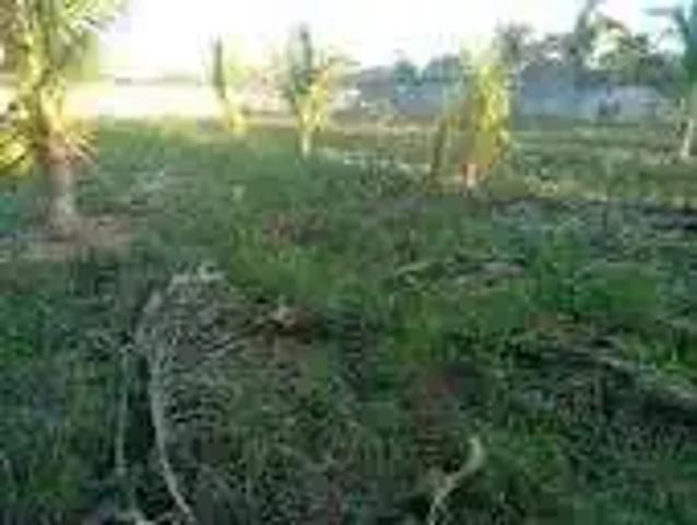 Terreno / Lote para Venda em Guarapari/ES Village do Sol