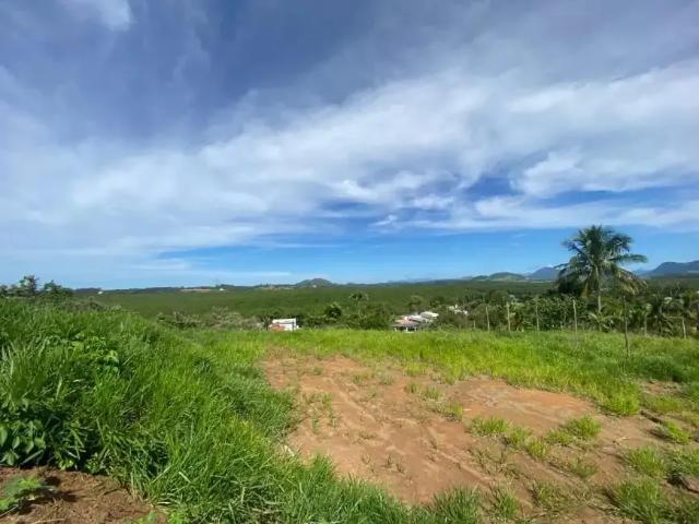 Terreno / Lote para Venda em Guarapari/ES Concha D'Ostra