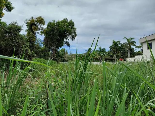 Terreno / Lote para Venda em Guarapari/ES Nova Guarapari