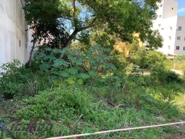Terreno / Lote para Venda em Guarapari/ES Nova Guarapari