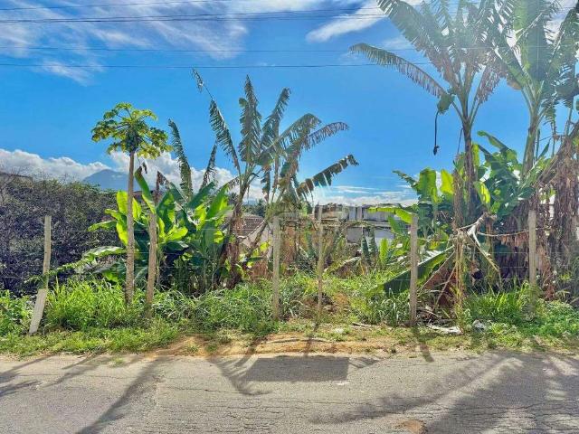 Terreno / Lote para Venda em Guarapari/ES São Judas Tadeu