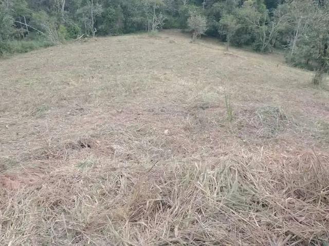 Terreno / Lote para Venda em Guararema/SP Capoeirinha