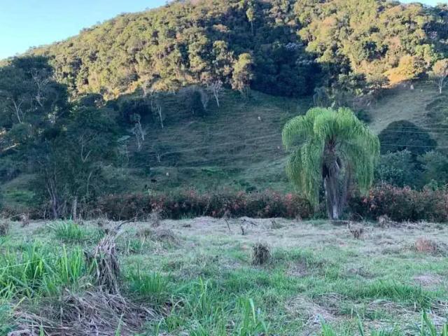 Terreno / Lote para Venda em Guararema/SP Itapey