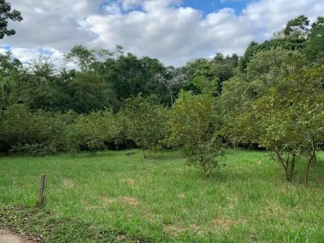 Terreno / Lote para Venda em Guararema/SP Jardim Itapema