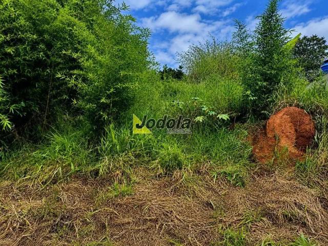 Terreno / Lote para Venda em Guararema/SP Jardim Luiza