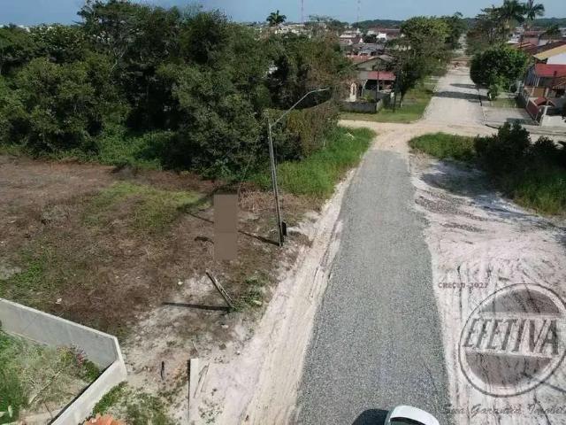 Terreno / Lote para Venda em Guaratuba/PR Balneário Eliane