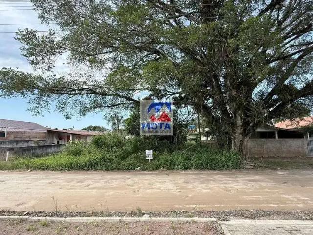 Terreno / Lote para Venda em Guaratuba/PR Balneário Eliane