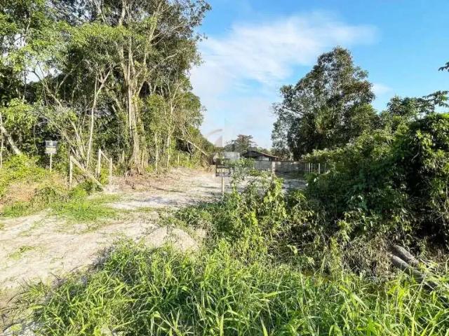 Terreno / Lote para Venda em Guaratuba/PR Balneário Nereidas