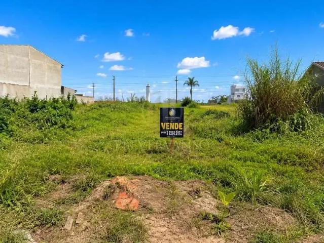 Terreno / Lote para Venda em Guaratuba/PR Balneário Nereidas