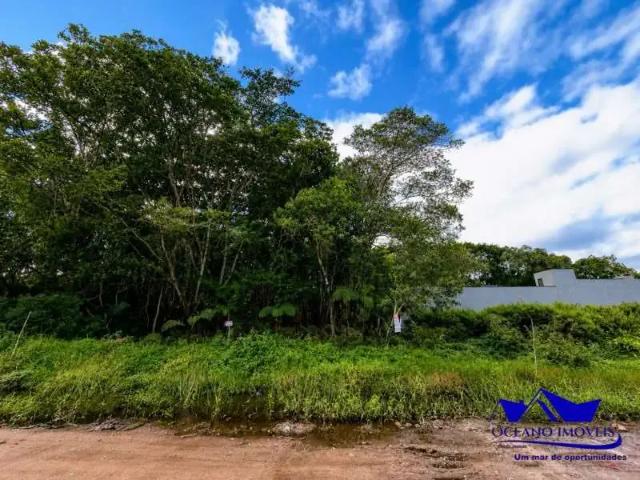 Terreno / Lote para Venda em Guaratuba/PR Brejatuba