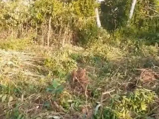 Terreno / Lote para Venda em Guaratuba/PR Cohapar