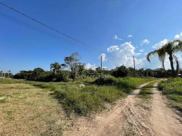 Terreno / Lote para Venda em Guaratuba/PR Coroados