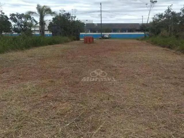 Terreno / Lote para Venda em Guaratuba/PR Coroados