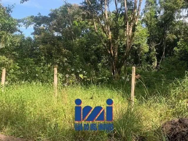 Terreno / Lote para Venda em Guaratuba/PR Nereidas