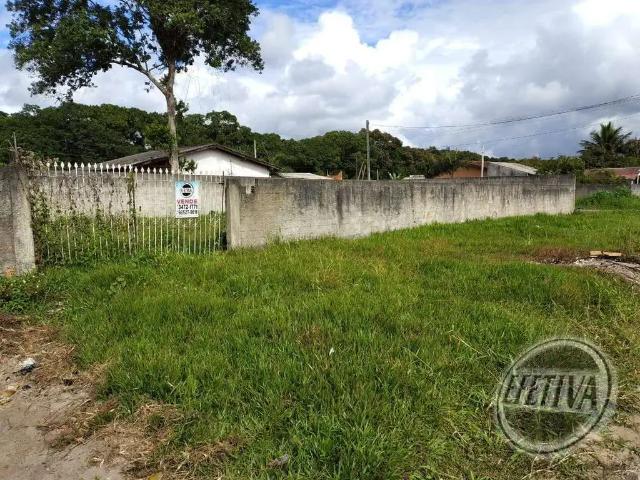 Terreno / Lote para Venda em Guaratuba/PR Nereidas