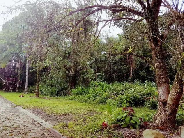 Terreno / Lote para Venda em Guaratuba/PR Prainha