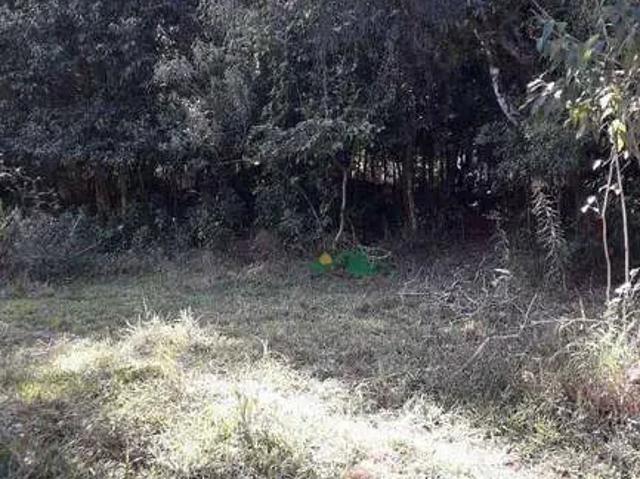 Terreno / Lote para Venda em Guaratinguetá/SP Bom Jardim I