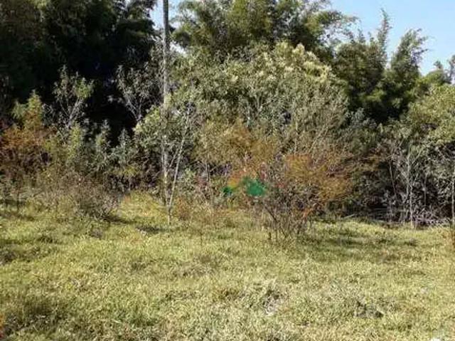 Terreno / Lote para Venda em Guaratinguetá/SP Bom Jardim I