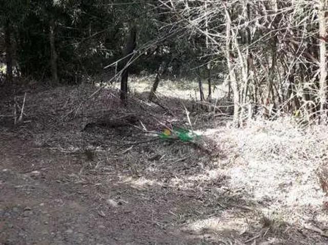 Terreno / Lote para Venda em Guaratinguetá/SP Bom Jardim I
