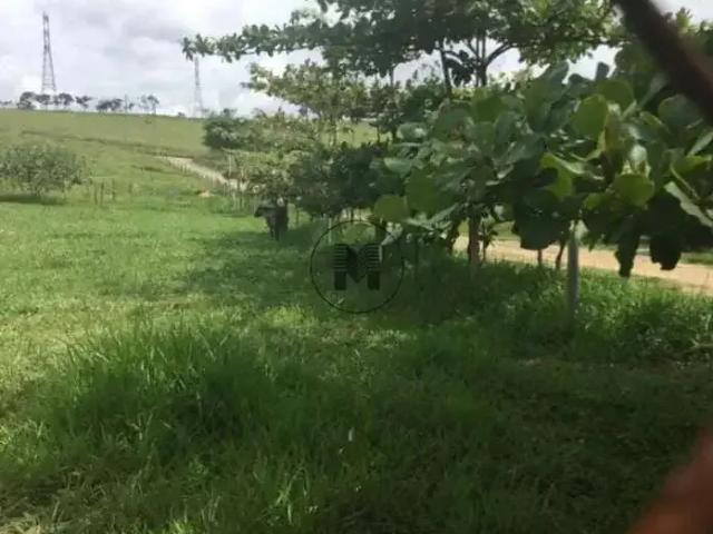 Terreno / Lote para Venda em Guaratinguetá/SP Belveder Clube dos 500