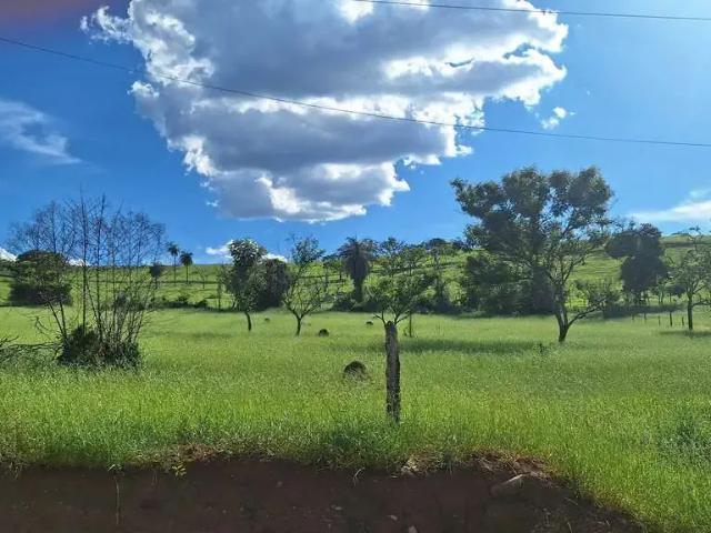 Terreno / Lote para Venda em Guaratinguetá/SP Belveder Clube dos 500