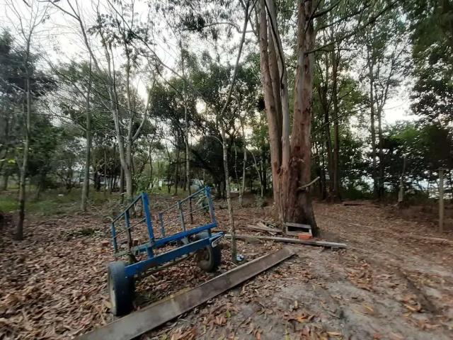 Terreno / Lote para Venda em Guaratinguetá/SP Belveder Clube dos 500