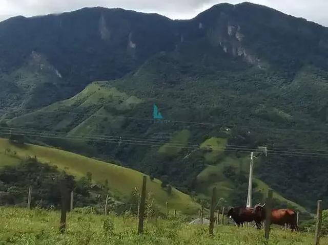 Terreno / Lote para Venda em Guaratinguetá/SP Gomeral