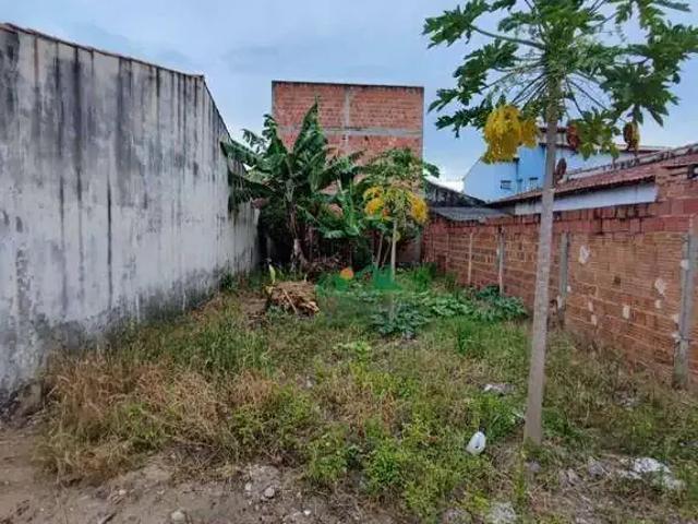 Terreno / Lote para Venda em Guaratinguetá/SP Jardim Esperança