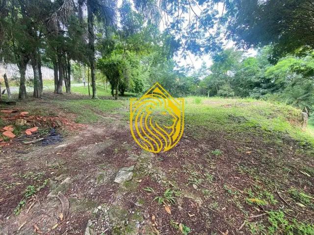 Terreno / Lote para Venda em Guaratinguetá/SP Jardim Panorama
