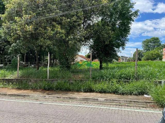 Terreno / Lote para Venda em Guaratinguetá/SP Jardim São Manoel