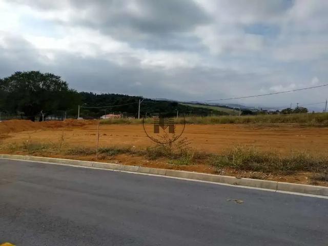 Terreno / Lote para Venda em Guaratinguetá/SP Pedrinha
