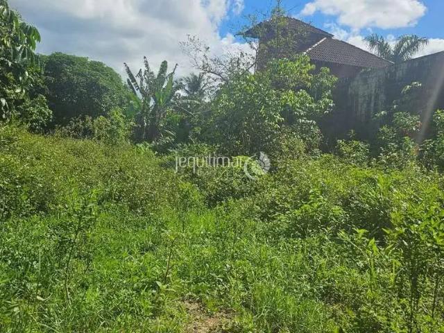 Terreno / Lote para Venda em Guarujá/SP Balneário Praia do Pernambuco