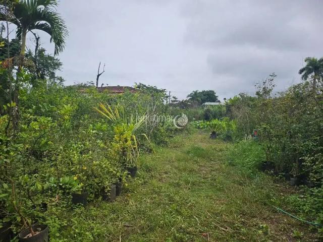Terreno / Lote para Venda em Guarujá/SP Balneário Praia do Pernambuco
