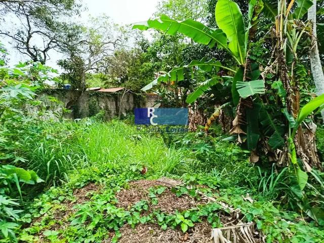 Terreno / Lote para Venda em Guarujá/SP Jardim Guaiuba