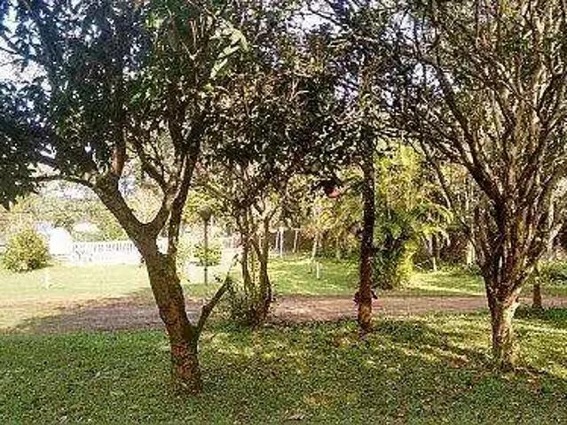 Terreno / Lote para Venda em Guarujá/SP Jardim Las Palmas